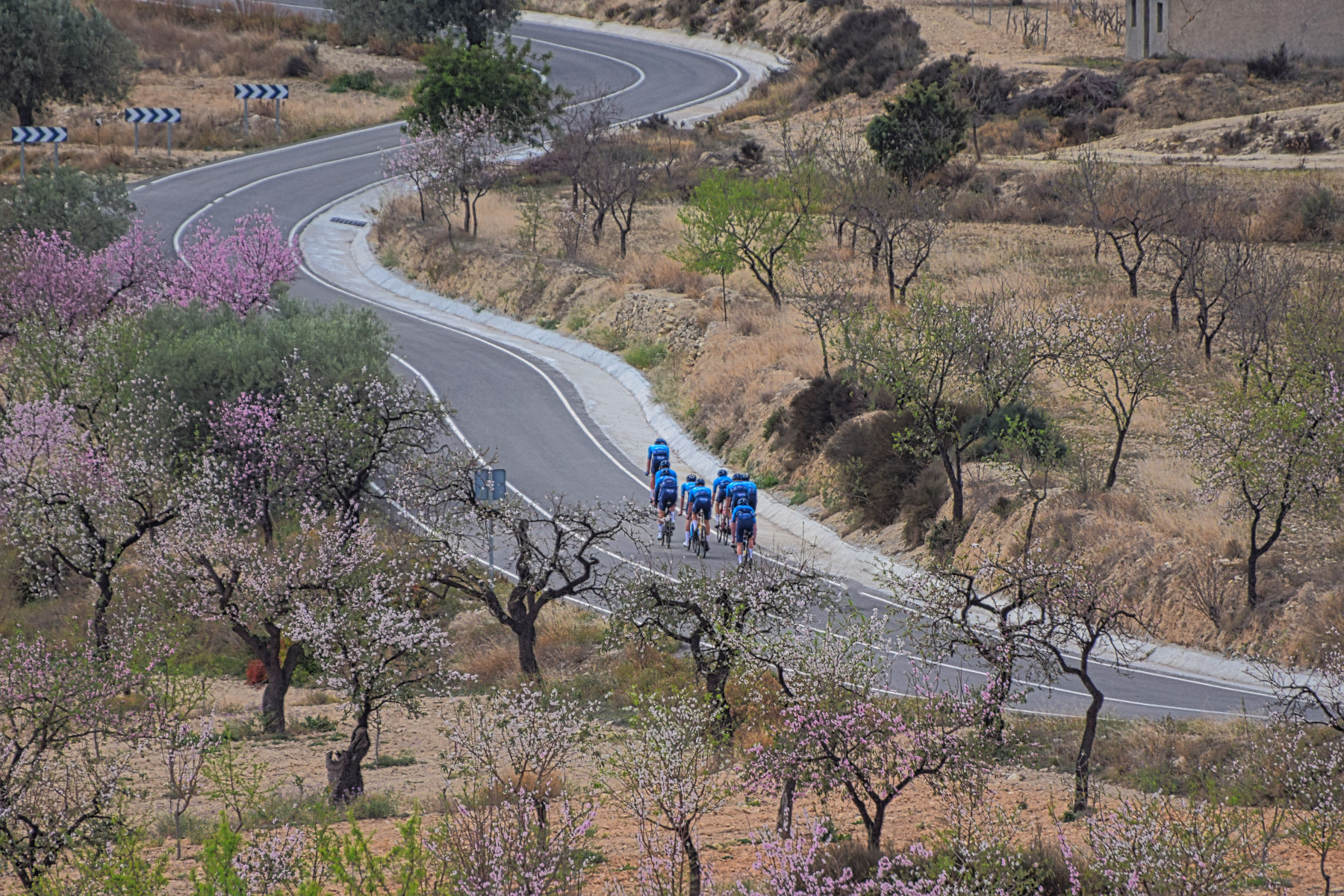 Kalender – SwABo Cyclingteam